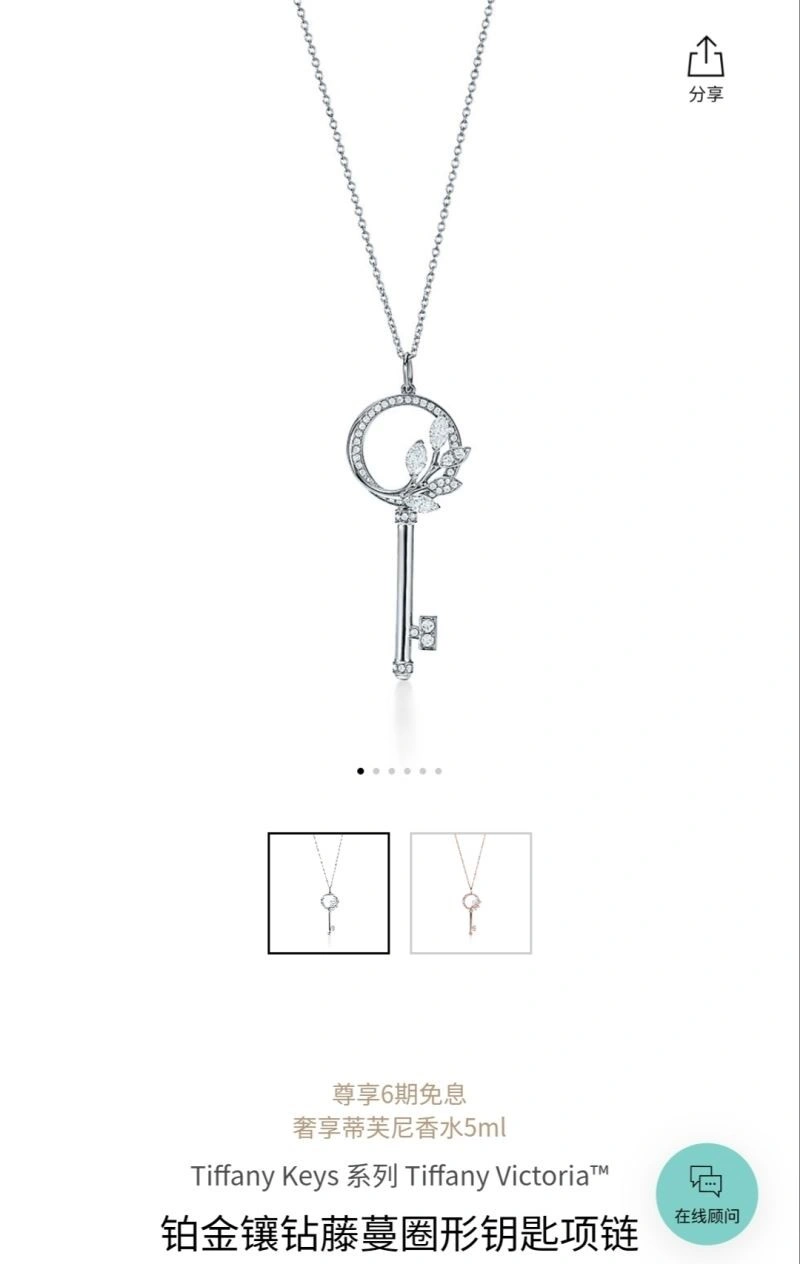 Tiffany Necklaces