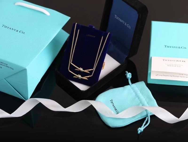 Top match Tiffany Necklaces