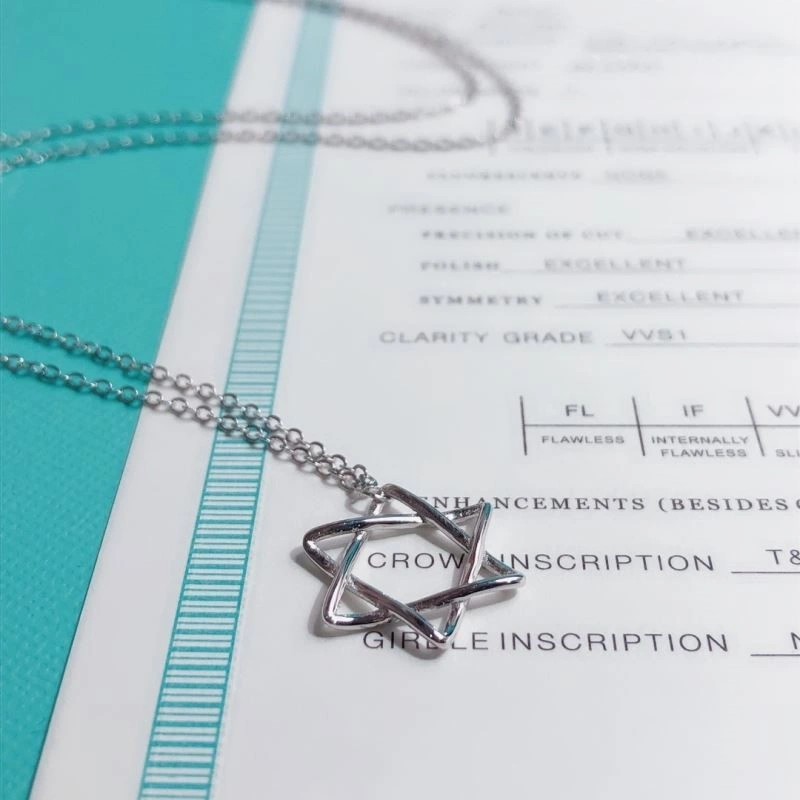 Top match Tiffany Necklaces
