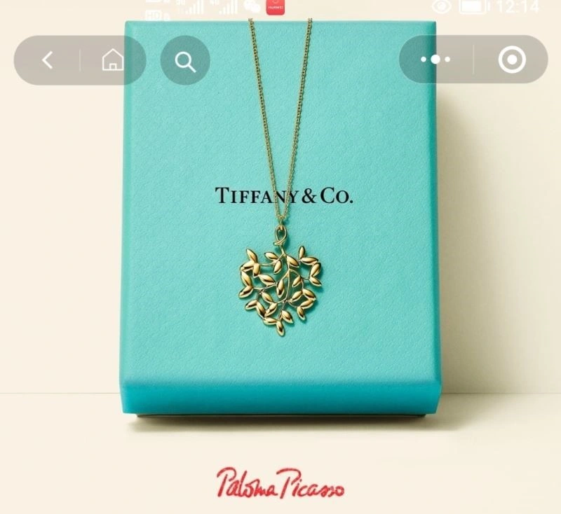 Top match Tiffany Necklaces