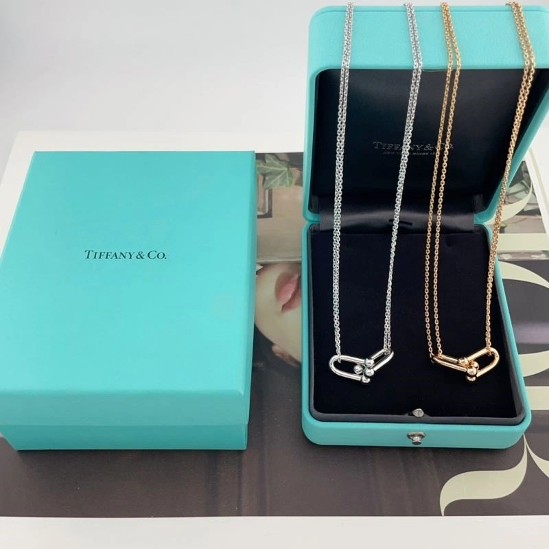 Indistinguishable Tiffany Necklaces