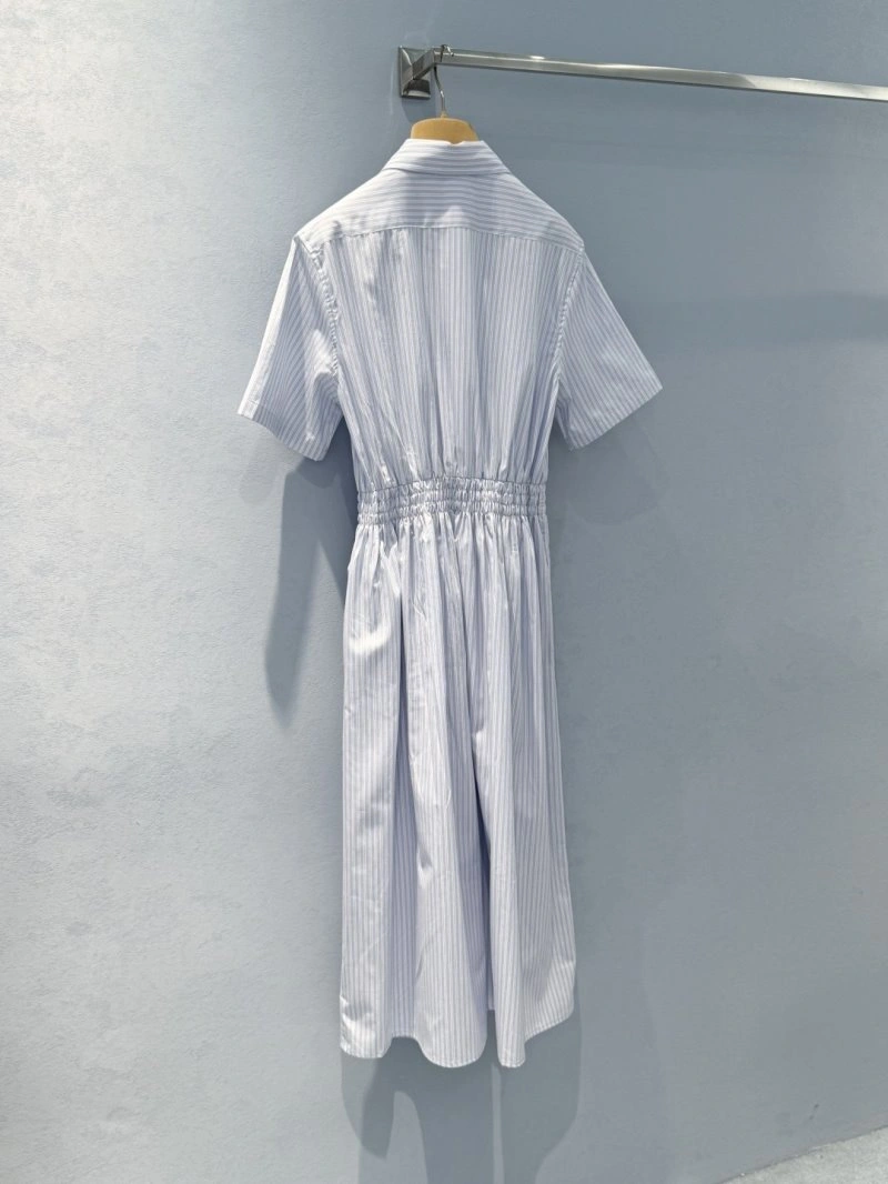 Indistinguishable Unclassified Brand Dress