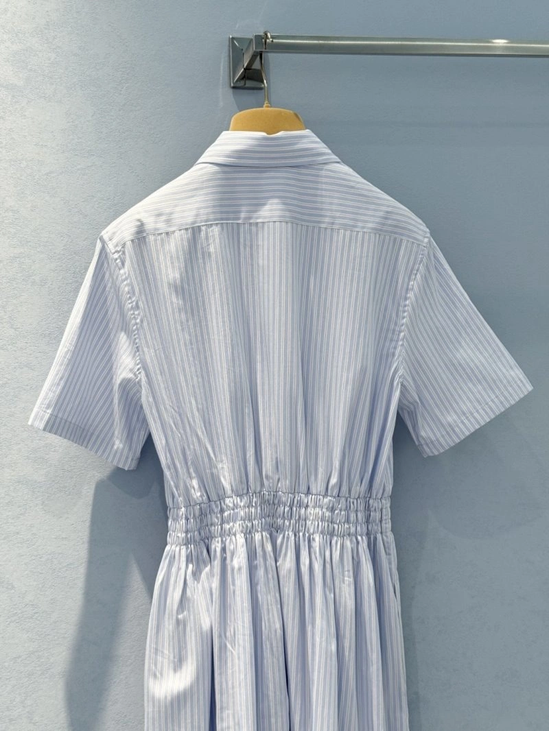 Indistinguishable Unclassified Brand Dress