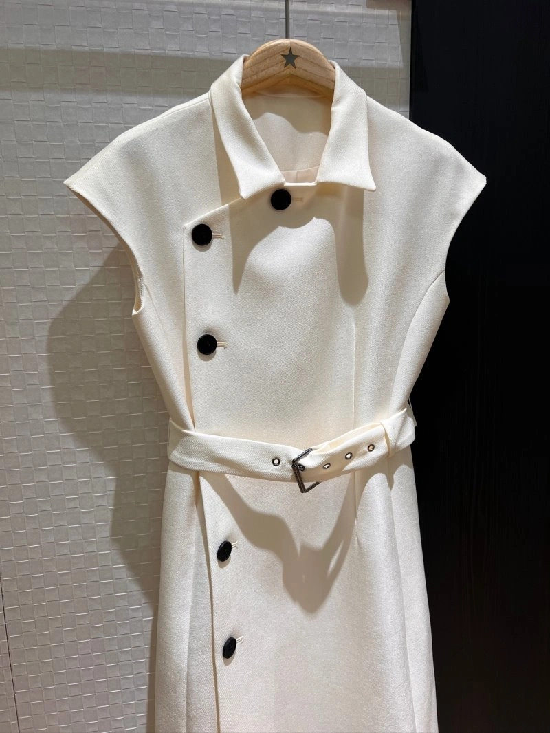 Cut-rate Unclassified Brand Dress