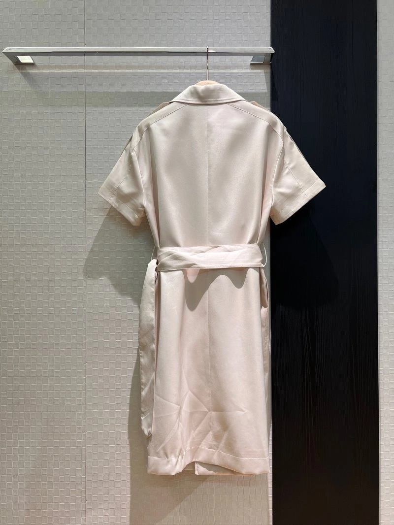 Indistinguishable Unclassified Brand Dress