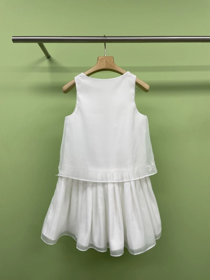 OEM Unclassified Brand Dress
