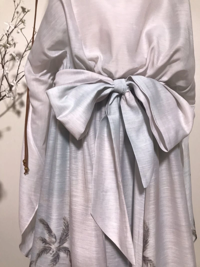 Indistinguishable Unclassified Brand Dress