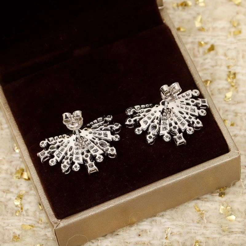 Economical Unclassified Brand Earrings