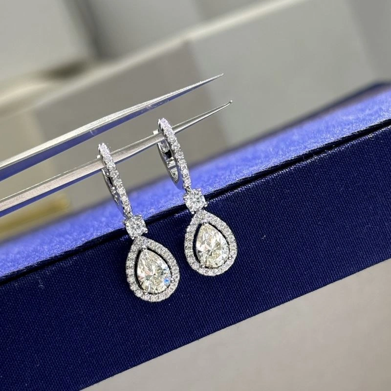 Economical Unclassified Brand Earrings