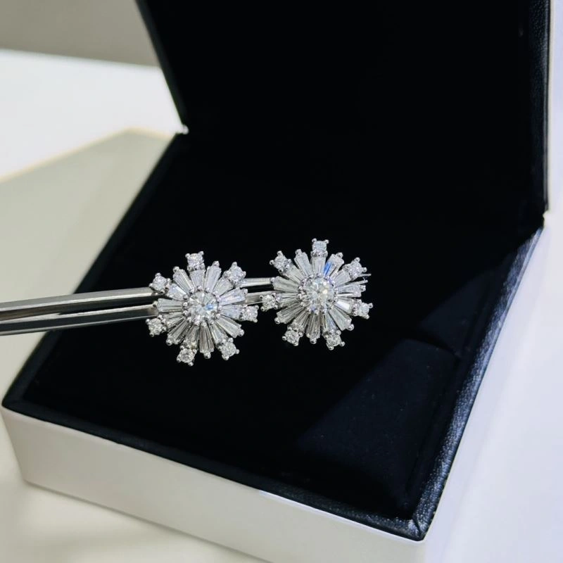 Unclassified Brand Earrings