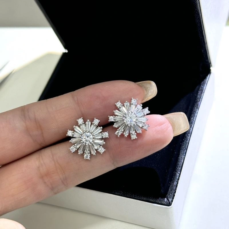 Unclassified Brand Earrings