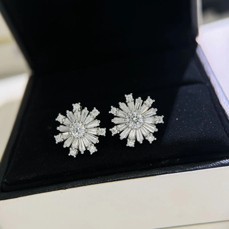 Unclassified Brand Earrings