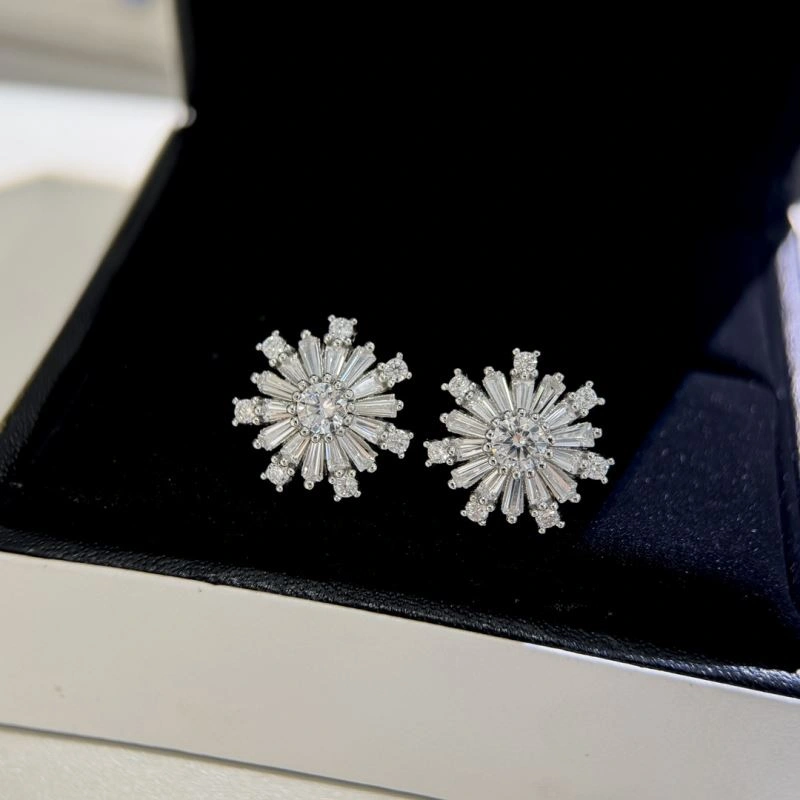 Unclassified Brand Earrings