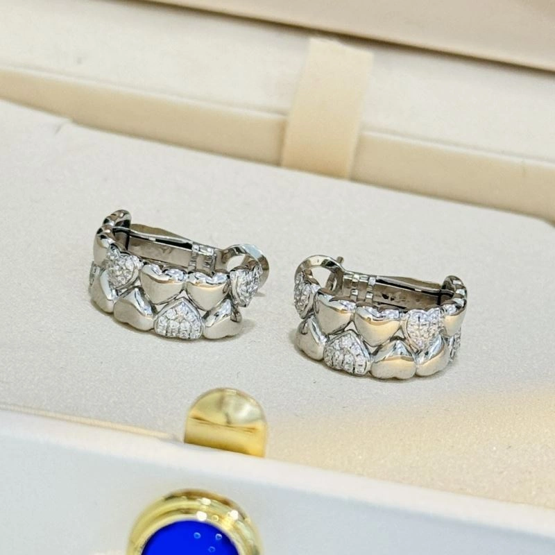 High accuracy Unclassified Brand Earrings