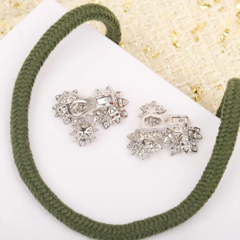 Mirror quality Unclassified Brand Earrings