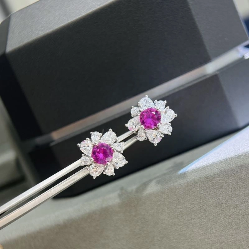 Mirror quality Unclassified Brand Earrings