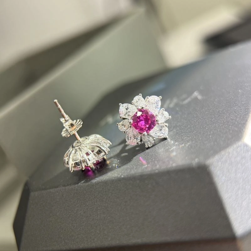 Mirror quality Unclassified Brand Earrings