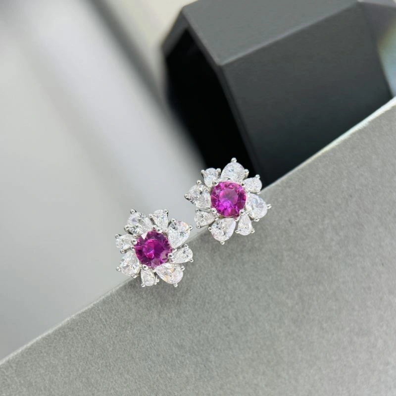 Mirror quality Unclassified Brand Earrings