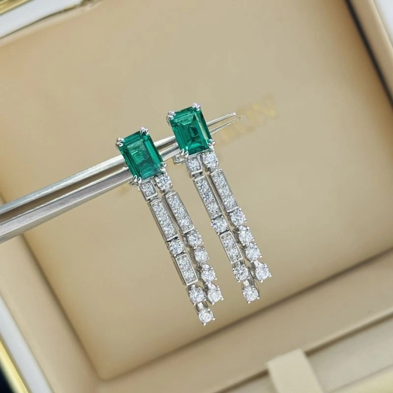 Unclassified Brand Earrings