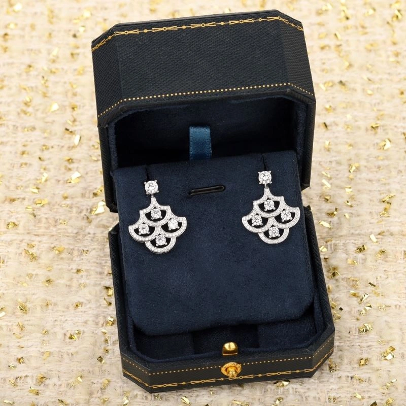 Unclassified Brand Earrings