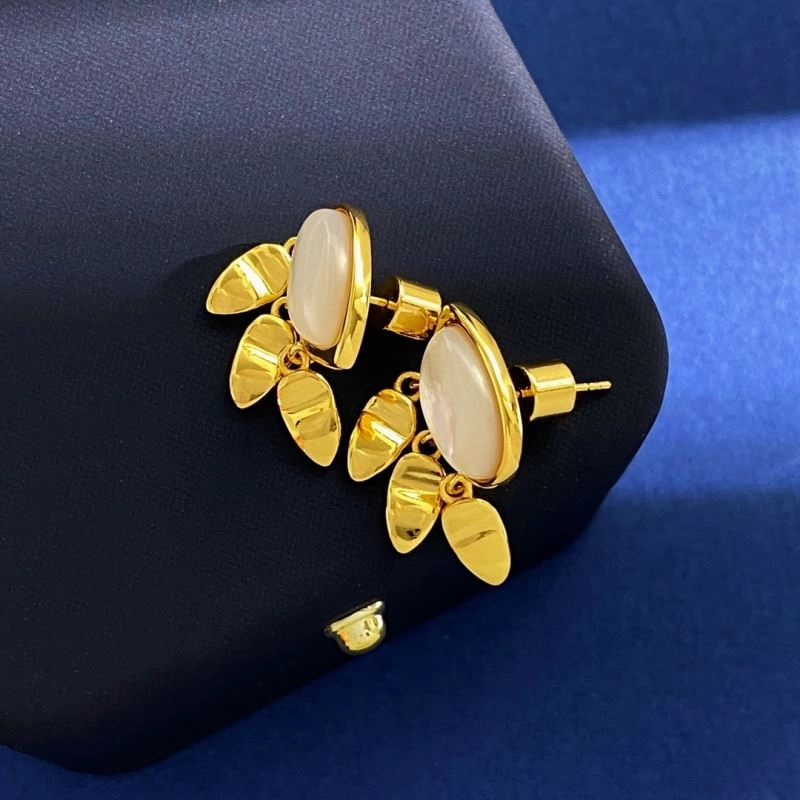 Top match Unclassified Brand Earrings