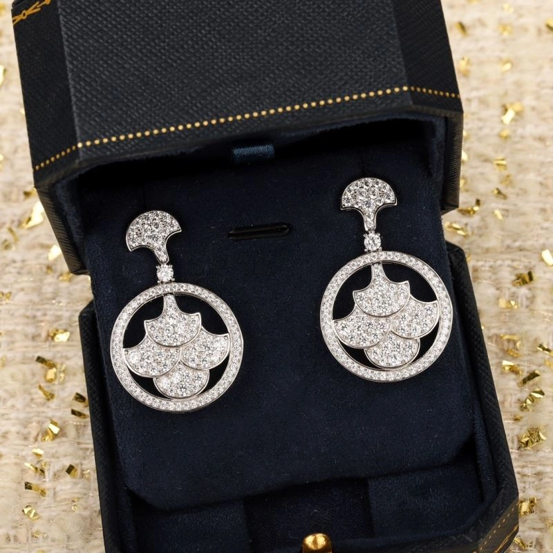 Accurate model Unclassified Brand Earrings