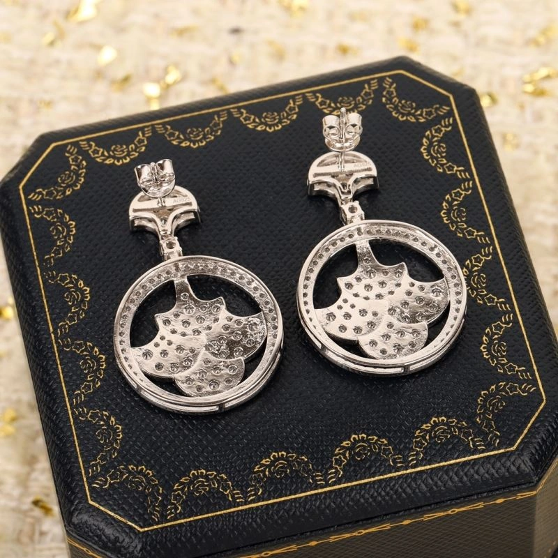 Accurate model Unclassified Brand Earrings