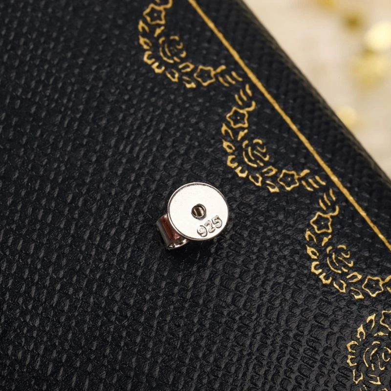 Accurate model Unclassified Brand Earrings