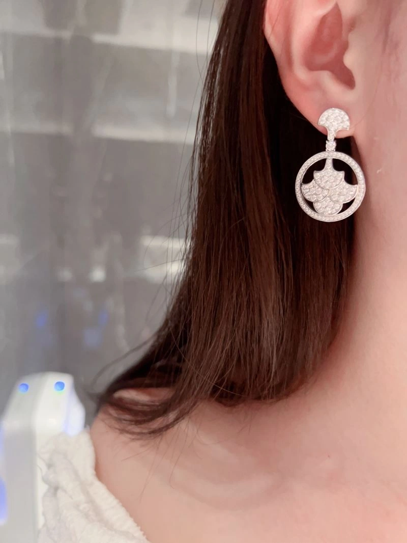 Accurate model Unclassified Brand Earrings