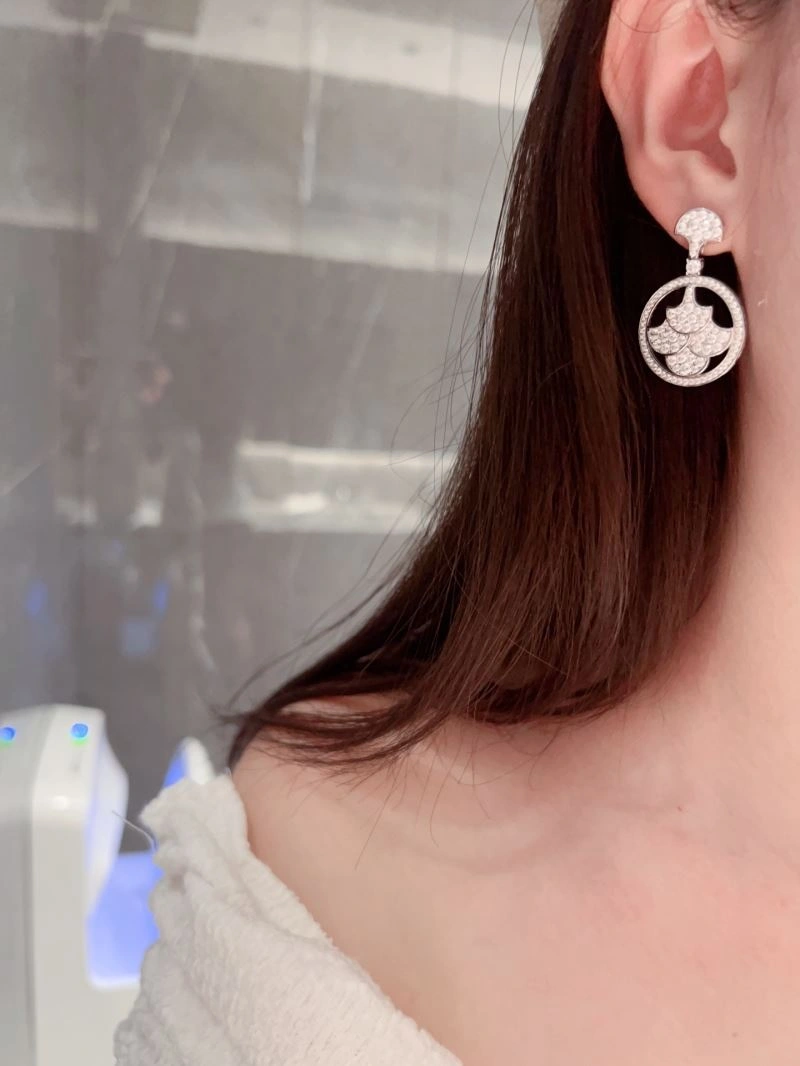Accurate model Unclassified Brand Earrings