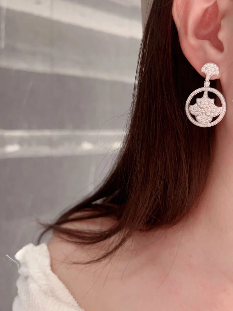 Accurate model Unclassified Brand Earrings
