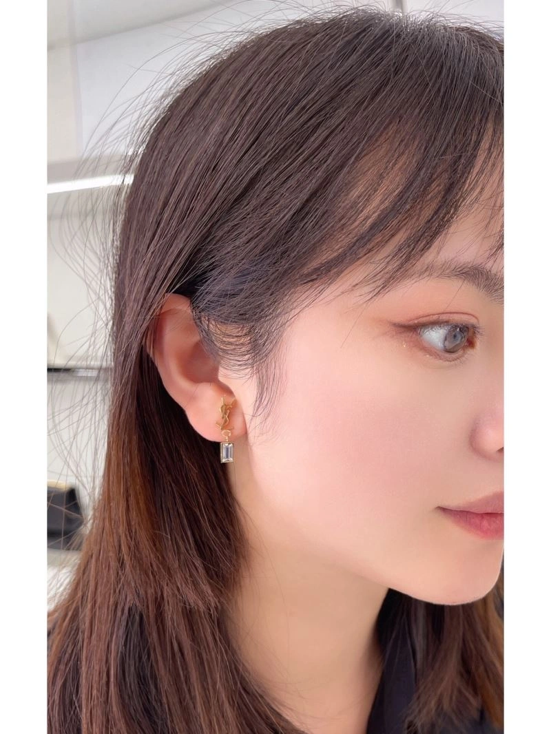 Mirror quality Unclassified Brand Earrings