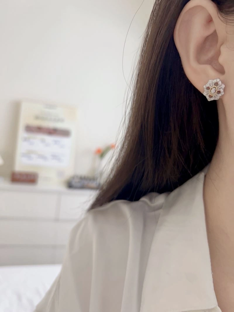 Unclassified Brand Earrings