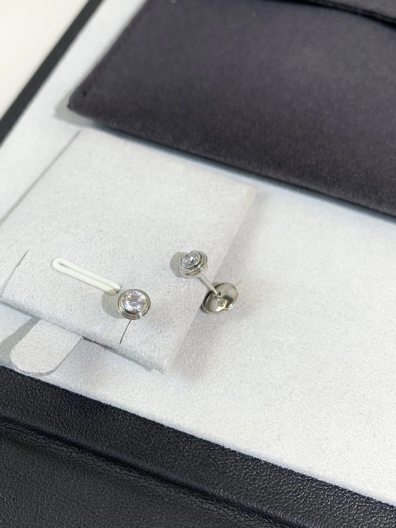 Unclassified Brand Earrings