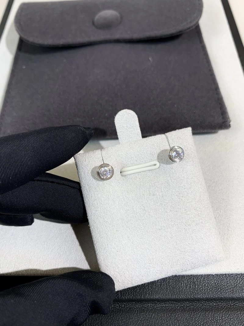 Unclassified Brand Earrings