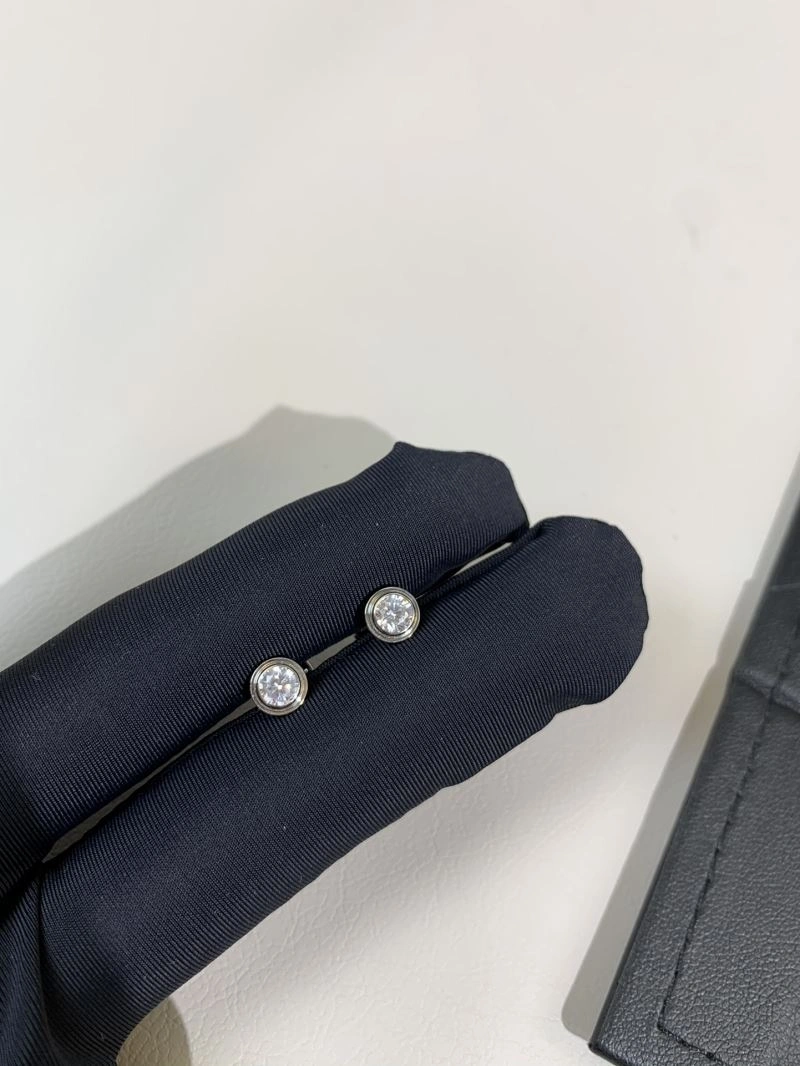 Unclassified Brand Earrings