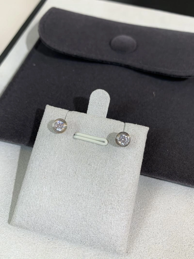 Unclassified Brand Earrings