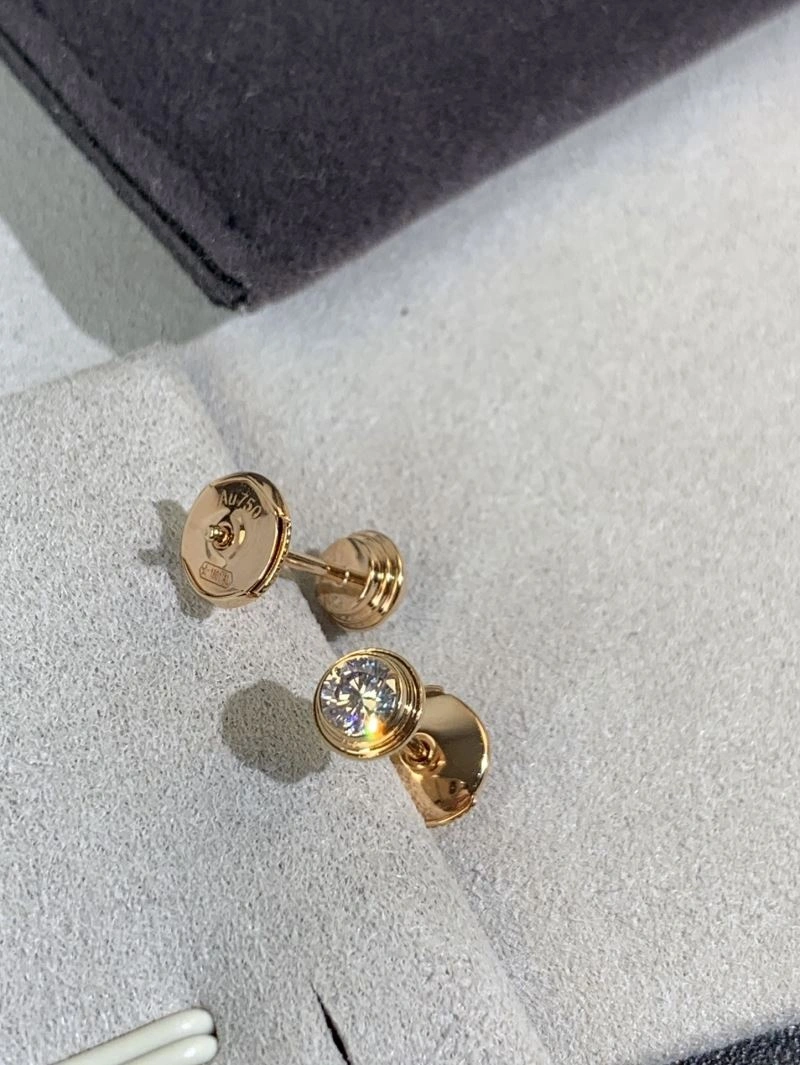 Unclassified Brand Earrings