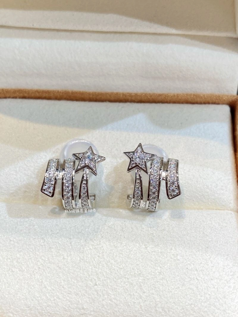 Value-priced Unclassified Brand Earrings