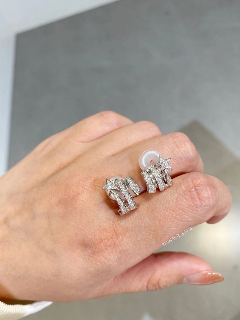 Value-priced Unclassified Brand Earrings