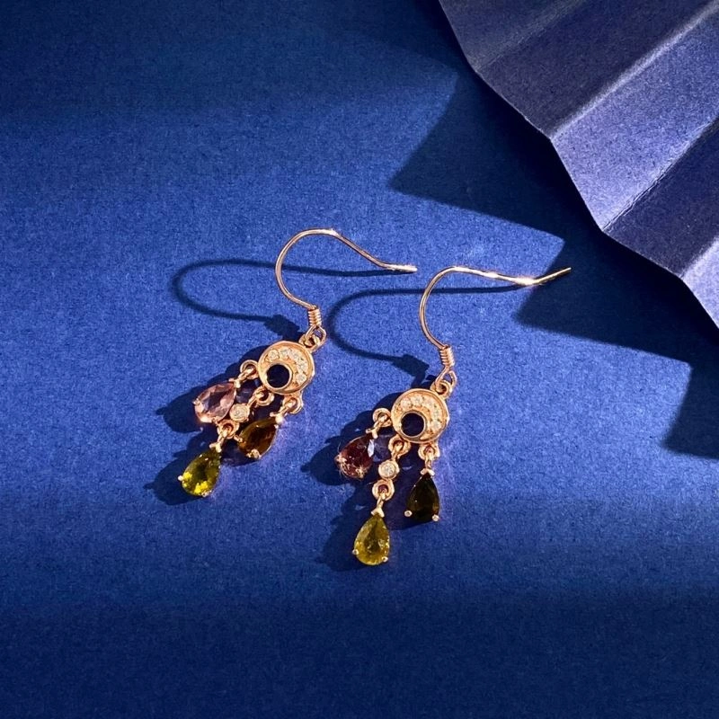 Unclassified Brand Earrings