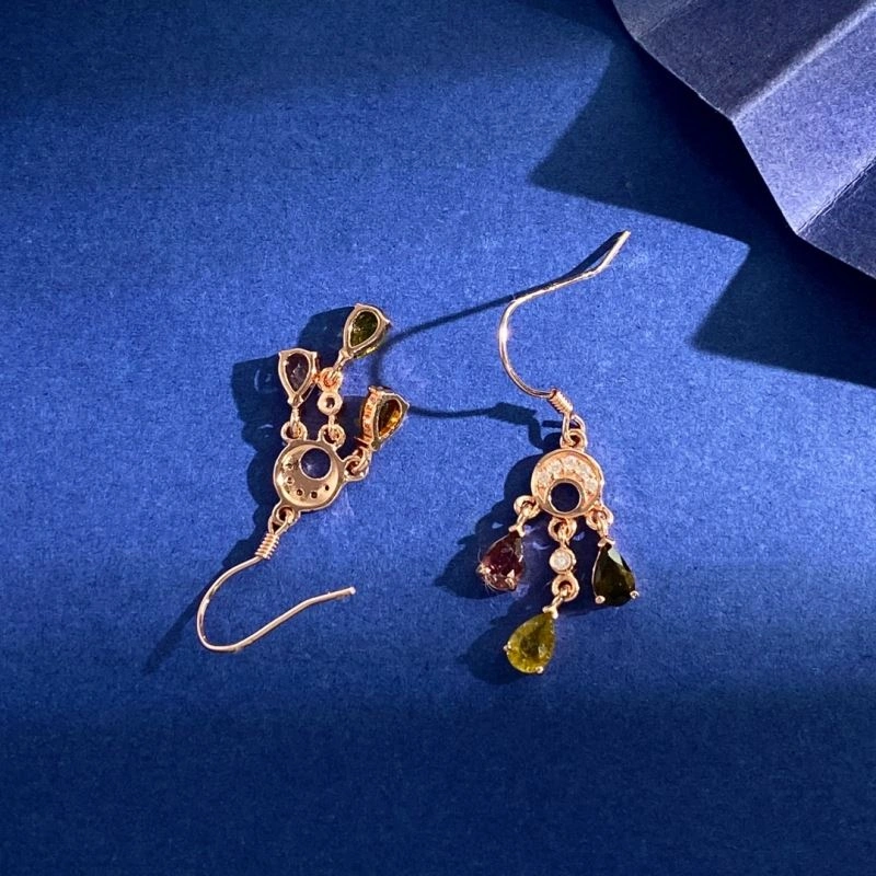 Accurate model Unclassified Brand Earrings