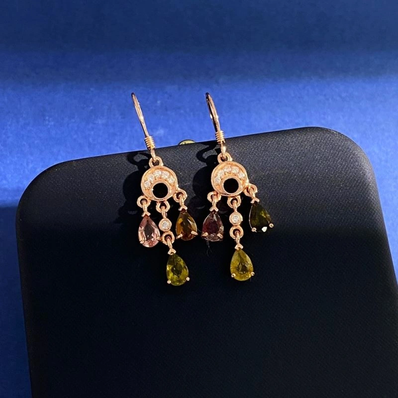 Accurate model Unclassified Brand Earrings