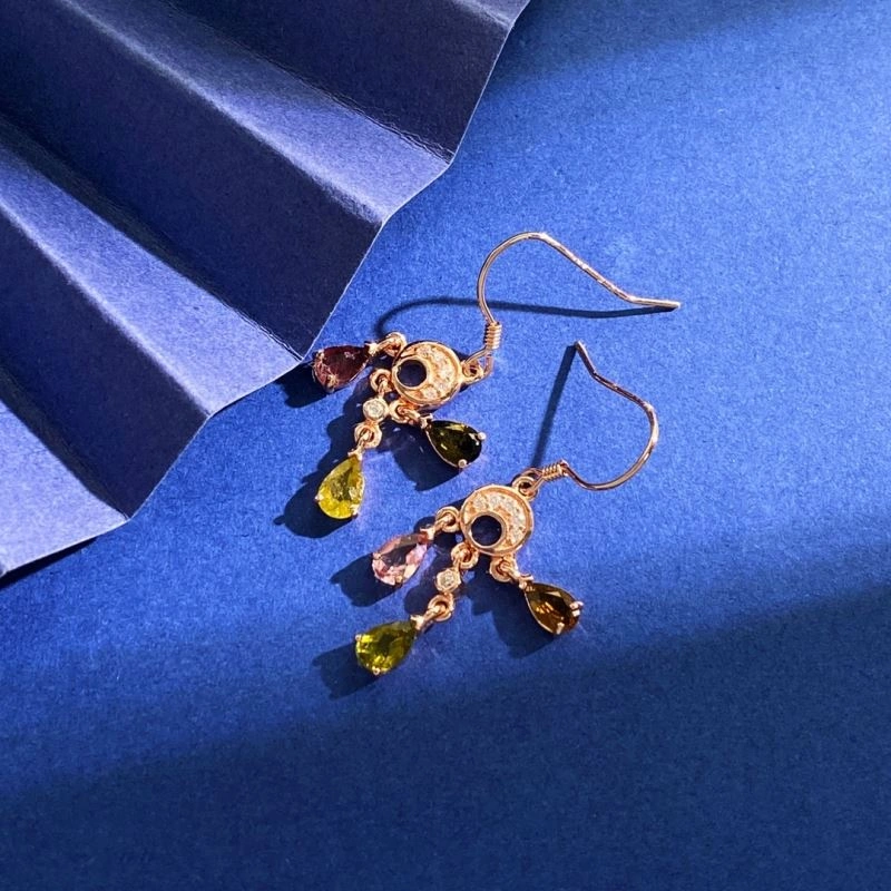 Accurate model Unclassified Brand Earrings