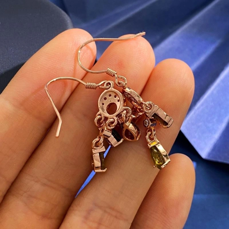Accurate model Unclassified Brand Earrings