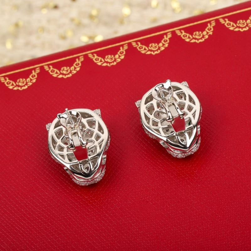 Unclassified Brand Earrings