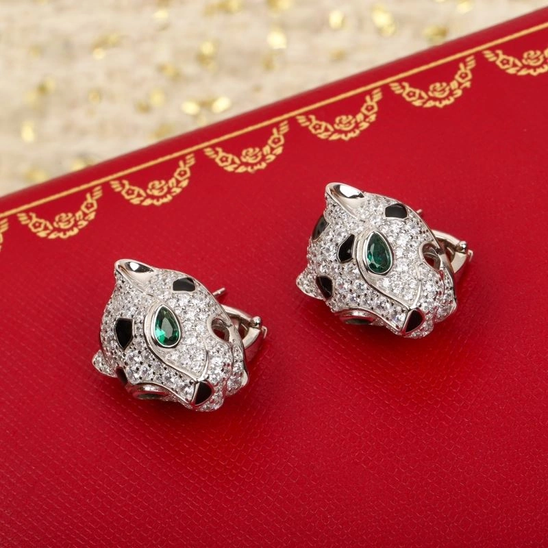 Unclassified Brand Earrings