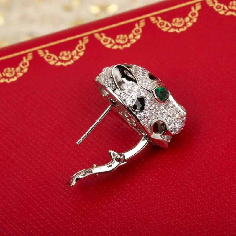 Unclassified Brand Earrings