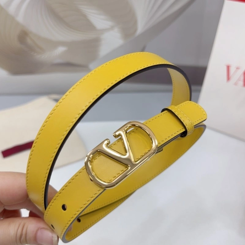 Inexpensive Valentino Belts