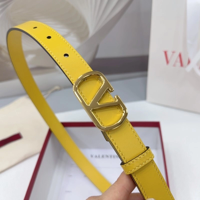 Inexpensive Valentino Belts